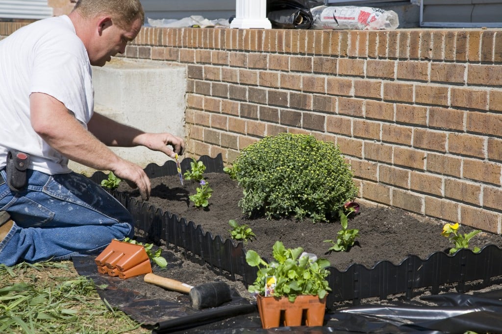 Avoid These 7 Biggest Landscaping Fails