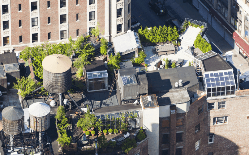 4 Inspirational Eco-Friendly Urban Landscaping Ideas