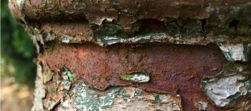 An In-depth Look at Corrosion and How to Stop it From Eating Away Your ... An In-depth Look at Corrosion and How to Stop it From Eating Away Your ...